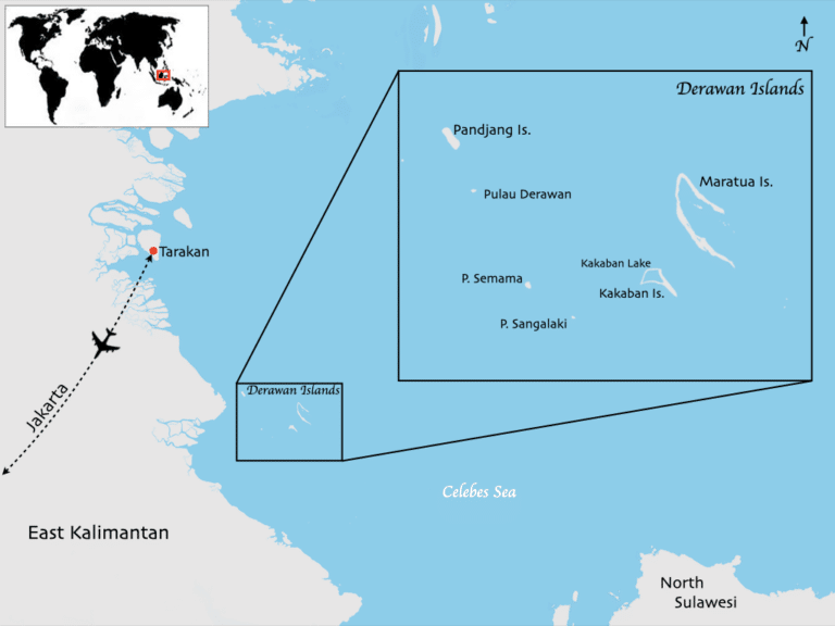 Derawan Islands - Coral Triangle Adventures