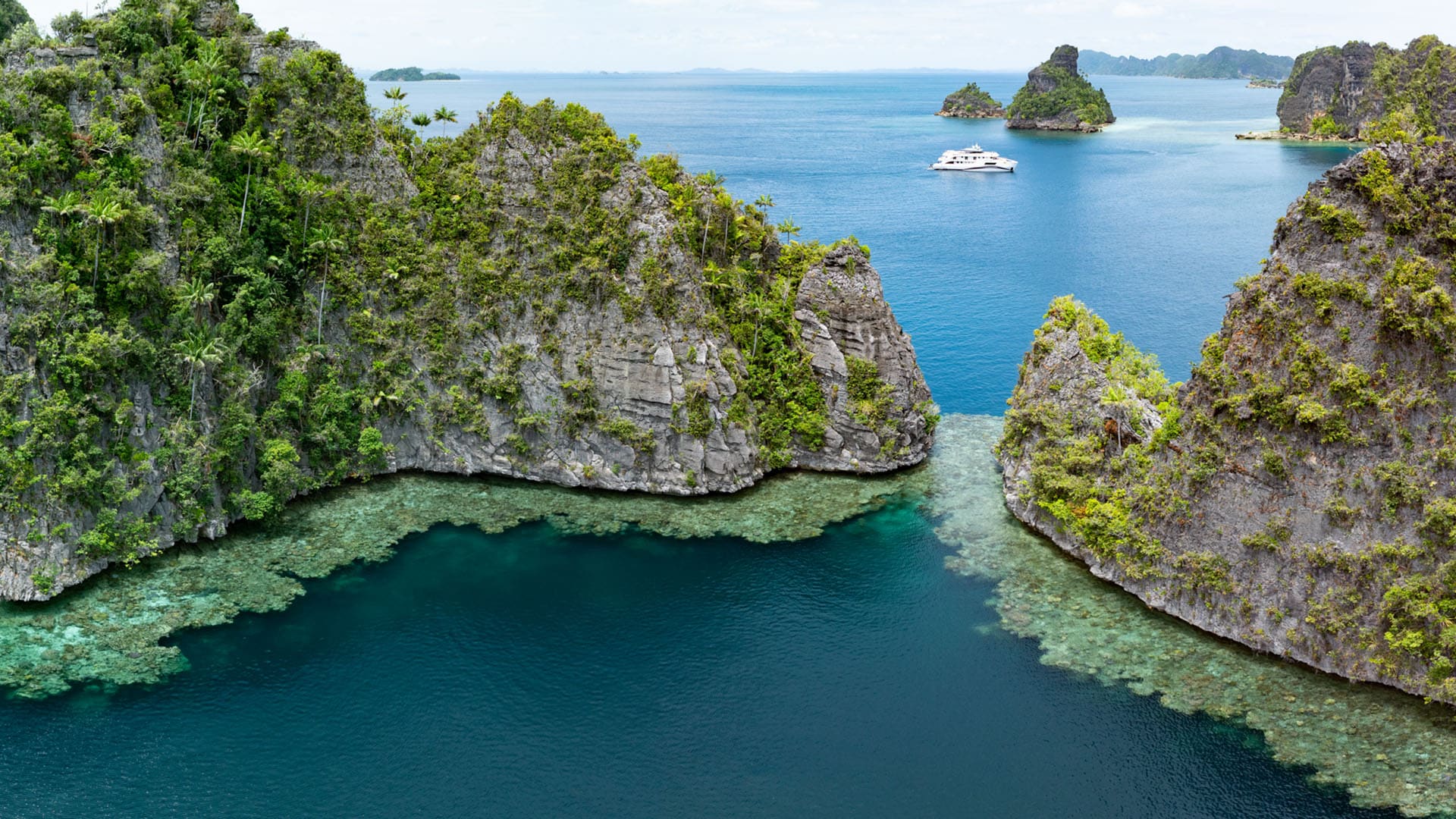 Misool to Halmahera - Coral Triangle Adventures
